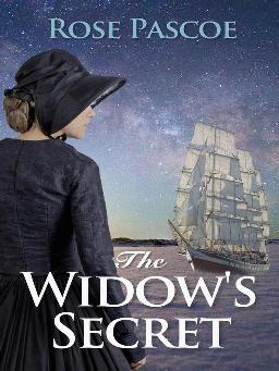 The Widow's Secret | Christchurch City Libraries Ngā Kete Wānanga o Ōtautahi | BiblioCommons